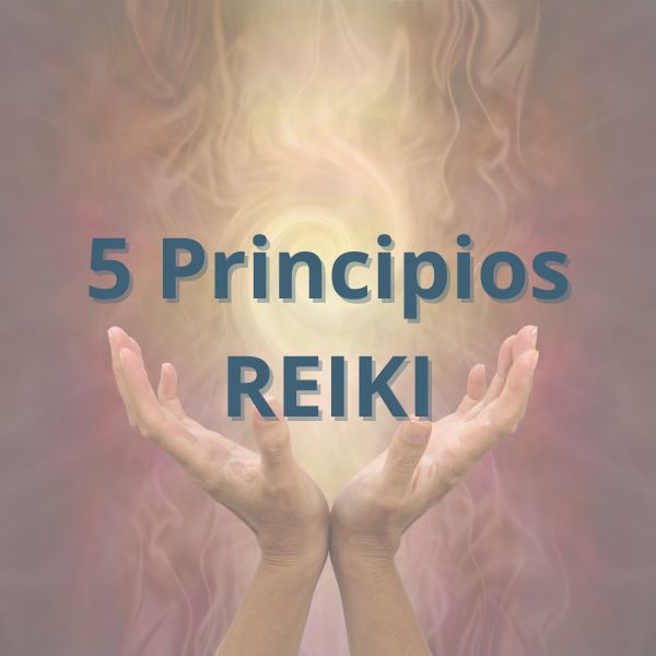 ¿Cuáles son los 5 Principios Reiki?, y cómo puedo aplicarlos - Sanaca ...